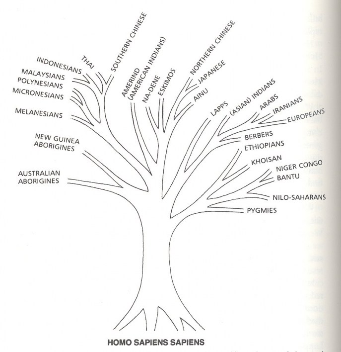 Arabic a revealed language and the mother of all languages – For ...